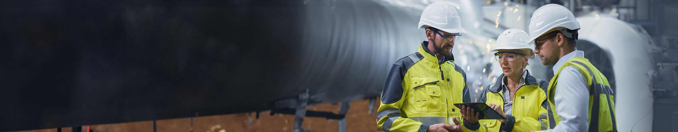 Risk Solutions | QBE AU